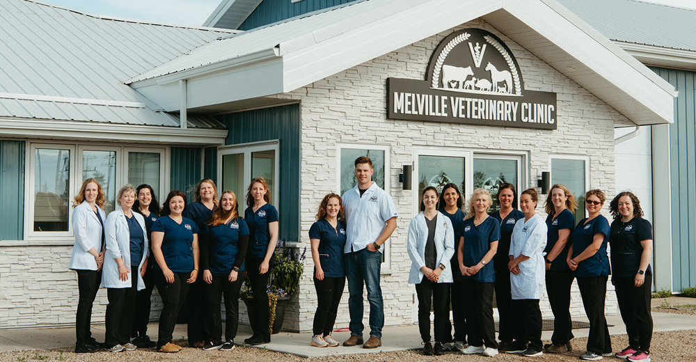 About | Melville Veterinary Clinic