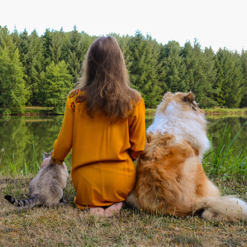 Melville Veterinary Clinic